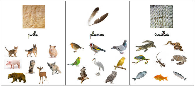 Épinglé sur материалы своими руками