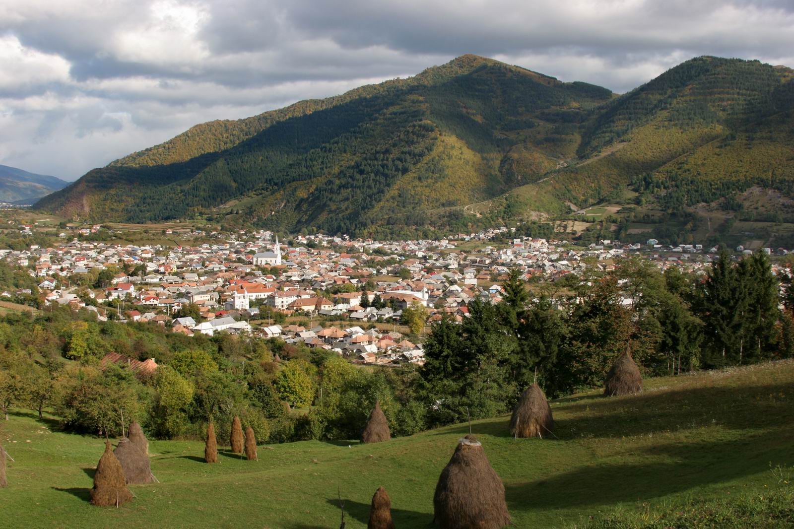 Istorie Furată: Pagini din Istoria Năsăudului - Oraşul Academicienilor