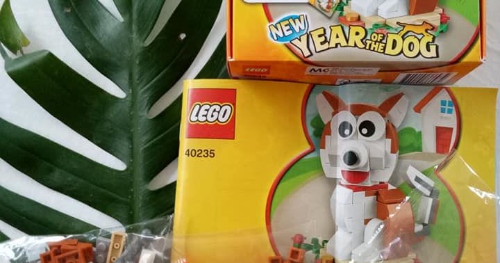 The Beauty Junkie - ranechin.com: Celebrate The Year of The Dog The ...