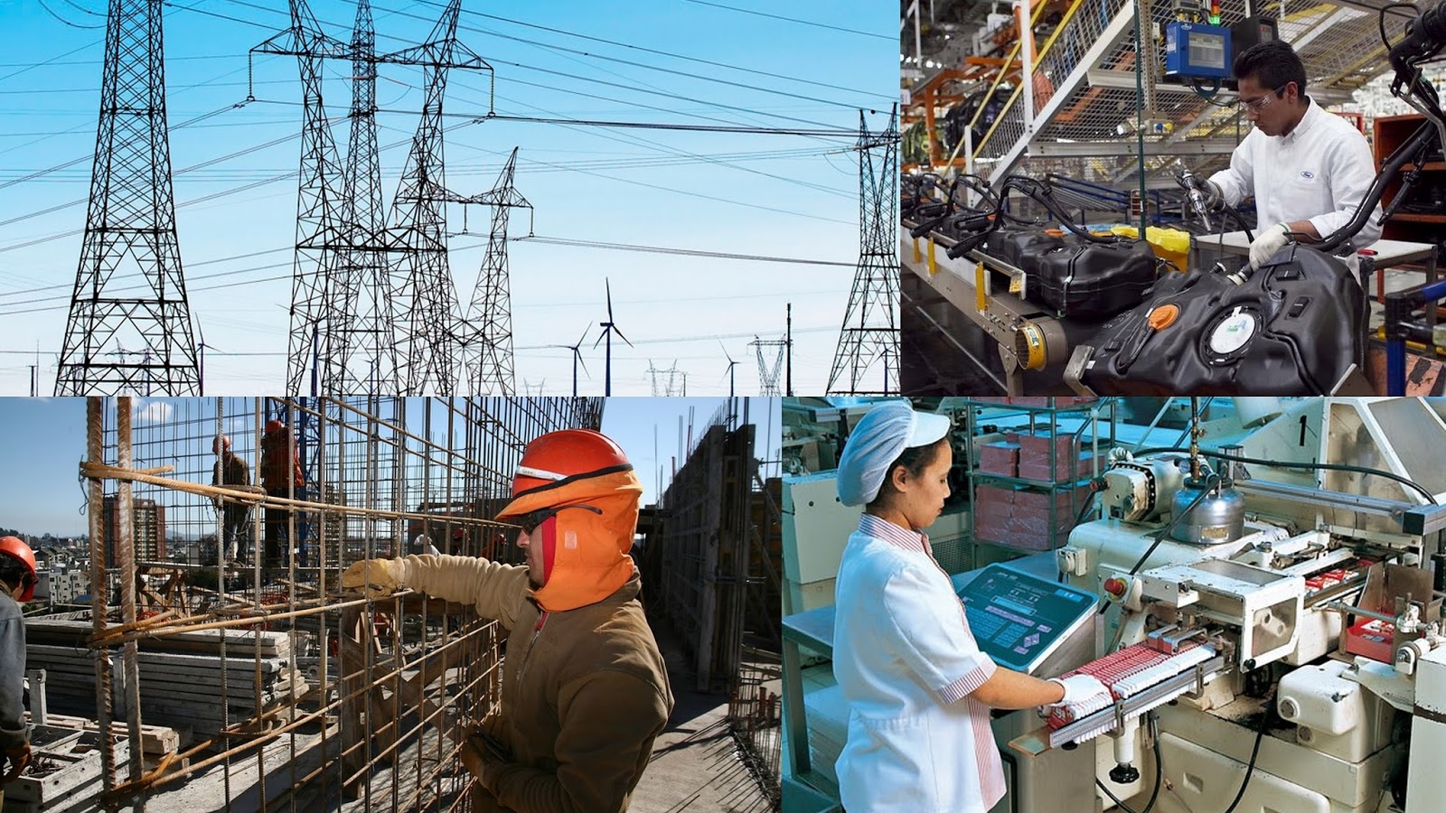 PREPARATORIA ABIERTA NUPLES (SEP): LOS SECTORES DE LA ECONOMÍA