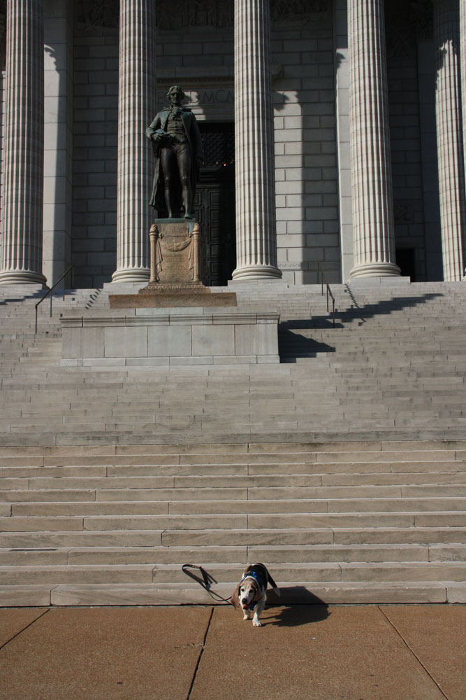 Jake's Takes: Basset Thoughts: Jake for President