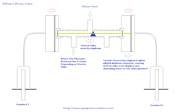 Affnan's Aquaponics: Hitting The Holy Grail - Affnan's Style