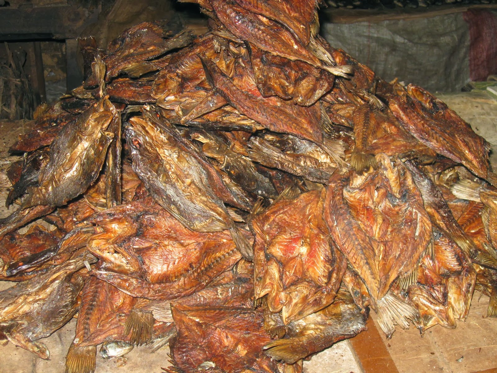 Kariakoo Market Corporation: SAMAKI: NGURU, SANGARA, TAA WANAPATIKANA ...