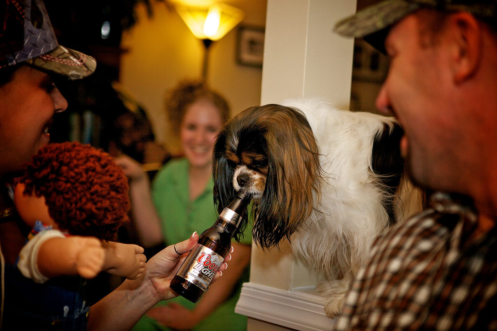 DC DISCOMBOBULATED: Redneck Prom...