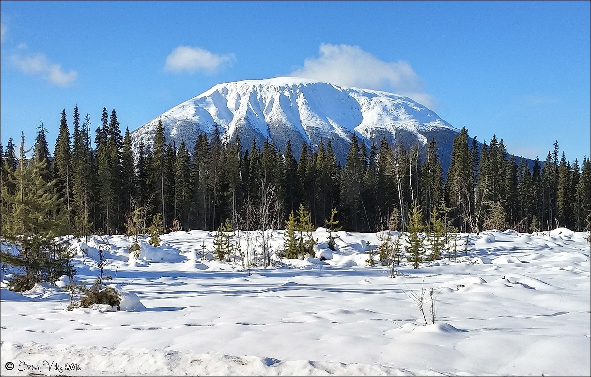 Northern Interior British Columbia: 2016 Winter Nadina Mountain Houston ...