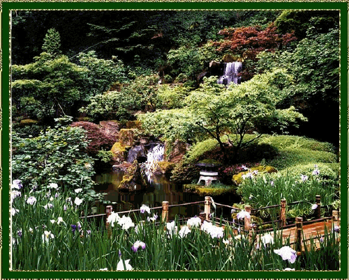 Nama Ilmiah bahasa Latin pada Tanaman atau Tumbuhan | "BLOG TANI NELAYANKU"