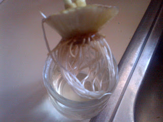 Life as a Homeschool Mom: The Onion Experiment part 2