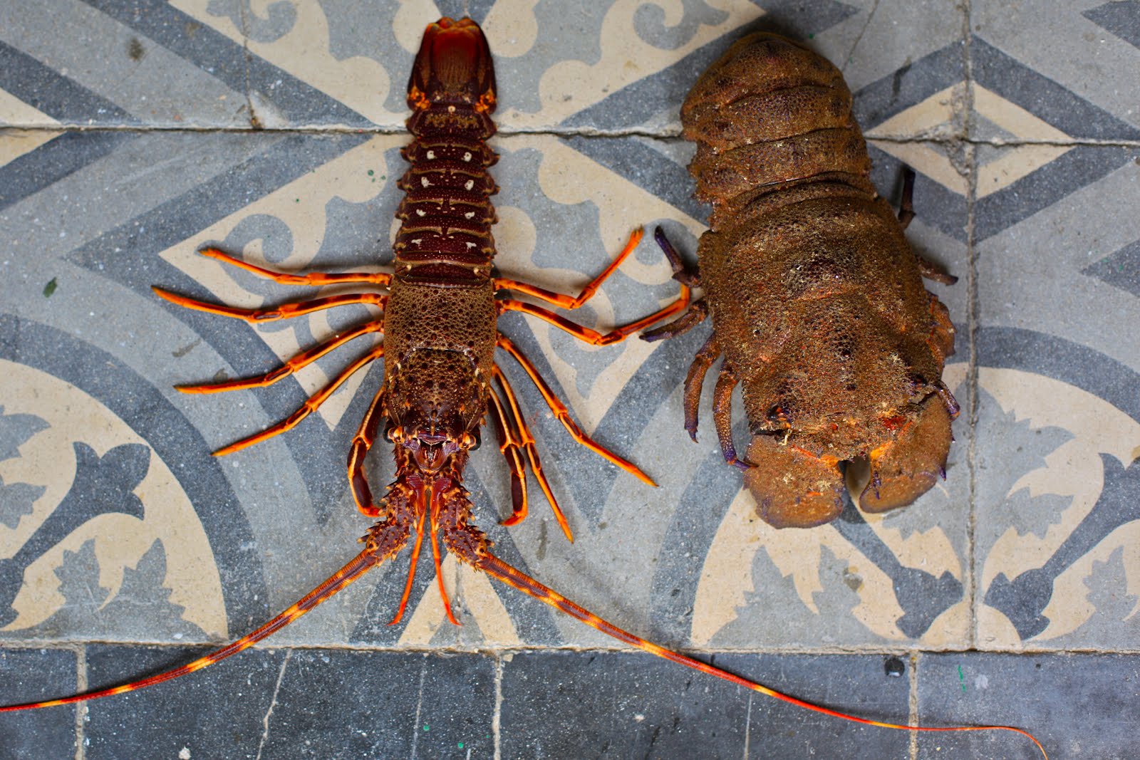 Merlin and Rebecca: Gypsy Kitchens: A Mediterranean Crustacean Feast