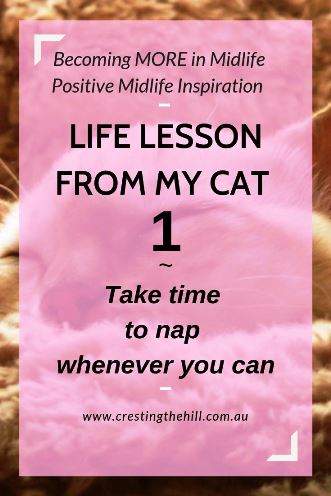 LIFE LESSON FROM MY CAT #1 - NAP OFTEN - Cresting The Hill