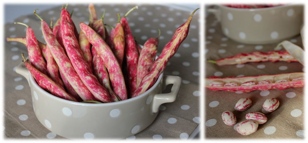 Crème de haricots cocos roses