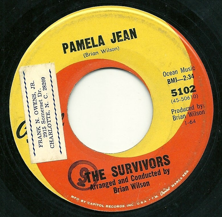 I Am the Noize In Your Head: The Survivors - Pamela Jean