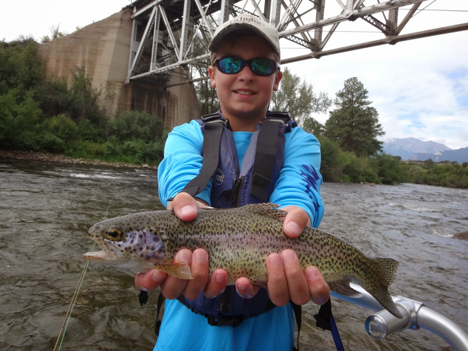 Fish Spotter: Young Buck