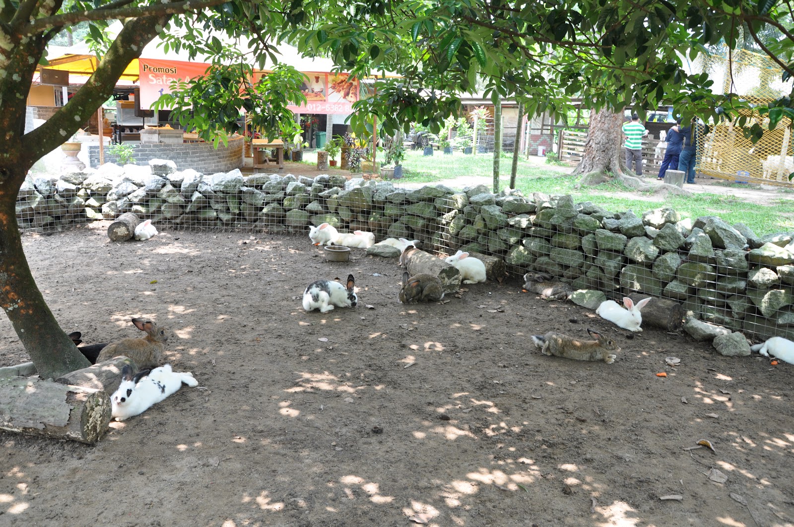 Sungai Siput Boy: Pekan Broga: Gigantic Monkey God at Sak dato Temple ...