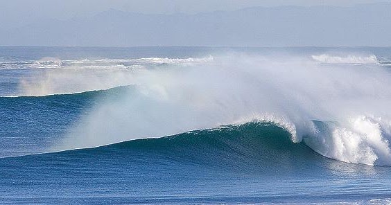 The Minke Connection: Giant 19.4m wave recorded in Southern Ocean