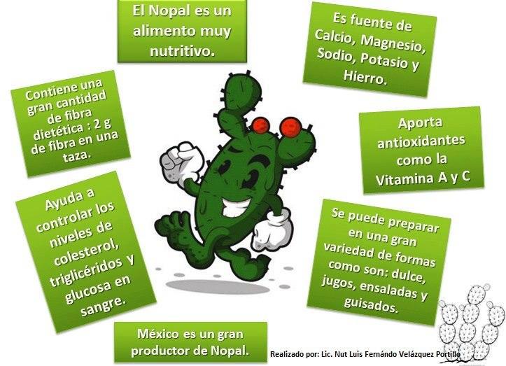 Vida Natural: Propiedades del Nopal