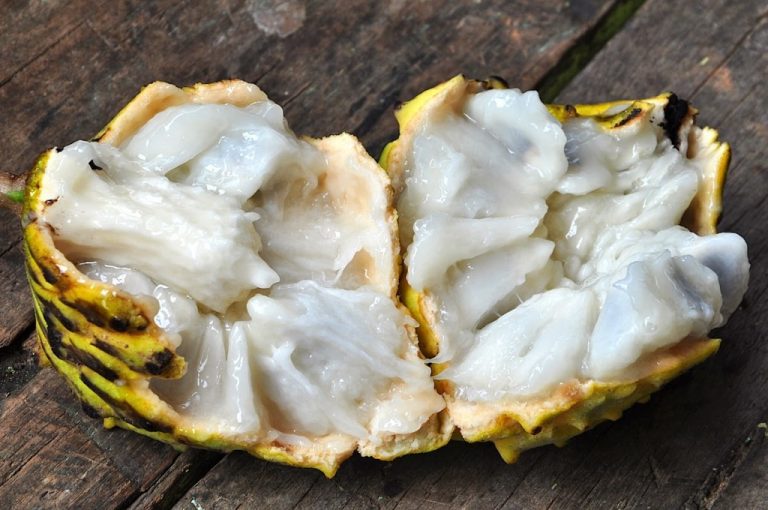 Blog do Chaddad: Biribá, você conhece?