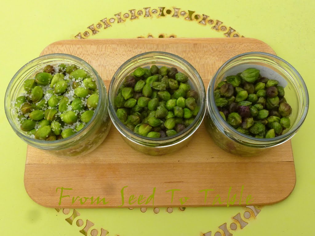 From Seed To Table: The Caper Caper Resumes