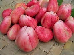 Tapanuli Selatan Dalam Angka: Sentra ‘Salak Sidempuan’ di Lereng Gunung ...