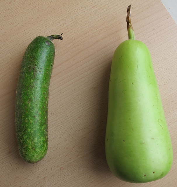 Docaitta Lifestyle: Recipes: Salmon with Pineapple Glaze, and an Opo Squash