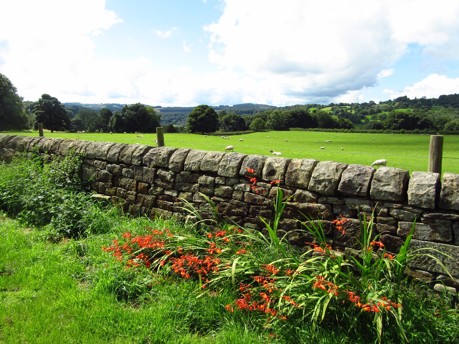 Bunny Mummy: Hilly Fields
