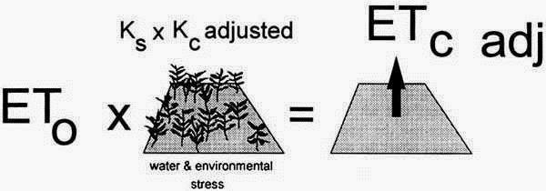 EVAPORATION, TRANSPIRATION & INFILTRATION: EVAPOTRANSPIRATION