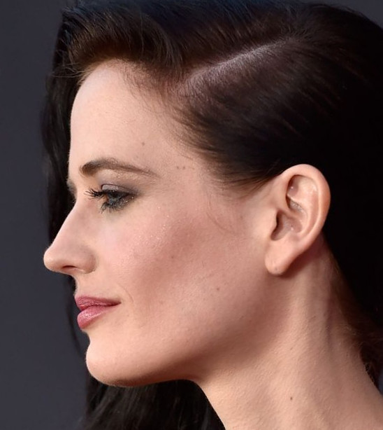 Aryan Anthropology: Profile Gallery