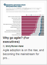 AgiloPedia: Why go agile? (For executives)