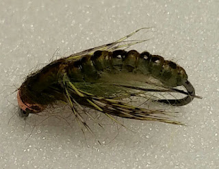 Piscari-Fly : Sedge Pupa Nymph