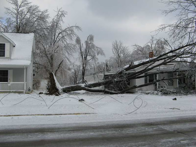 MEC&F Expert Engineers : Insurance information, if you have ice storm ...