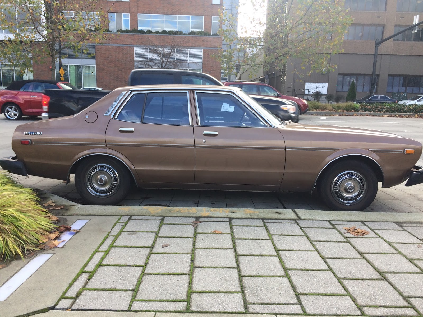 Seattle's Old Cars: 1978 Datsun 810