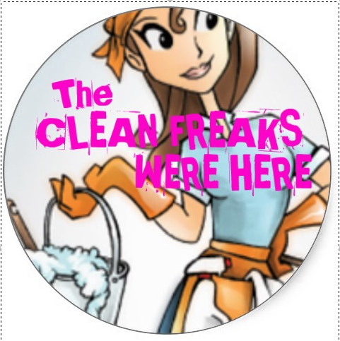 Clean Freaks: Testimonials