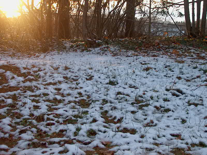 Bill's Photos: Snow On The Ground (Nov.28,2012)
