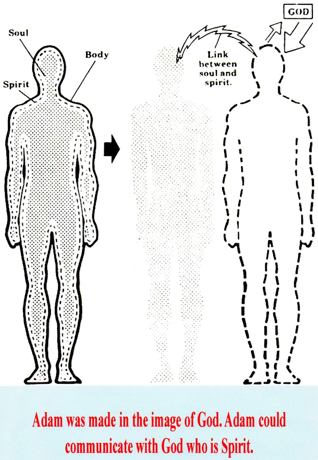 WORDS FOR LIVING/ PALABRAS QUE DAN VIDA: MAN IS A TRIPARTITE BEING