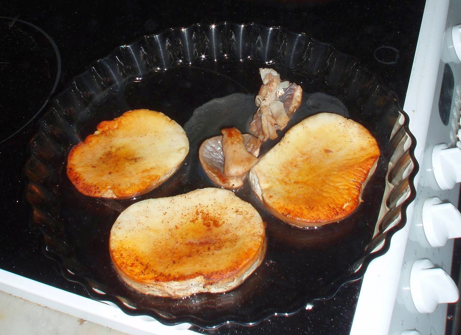 The Giant Puffball: Nature’s Orbicular Idiosyncrasy ~ Kuriositas