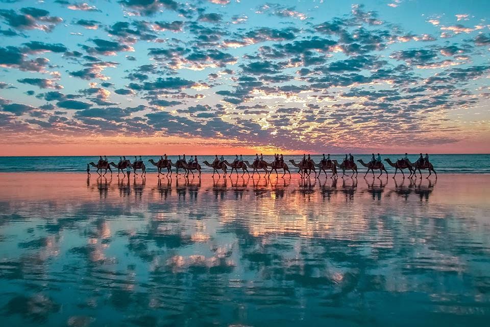 Camels at Cable Beach in Broome Western Australia | Express Photos