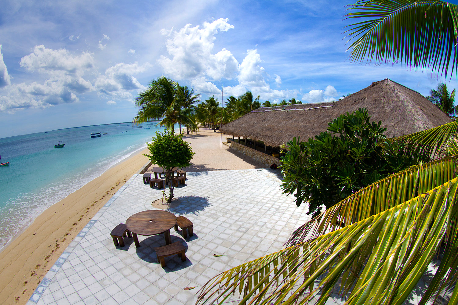 Indonesian Folklore (Folklor Indonesia): A Story from Roti Island