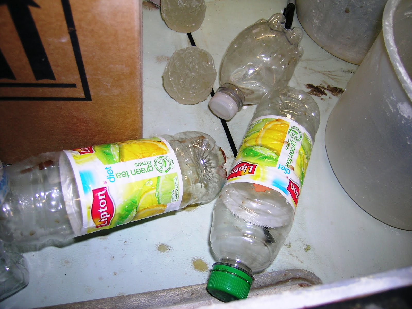 cast float glass | Washington Glass Studio