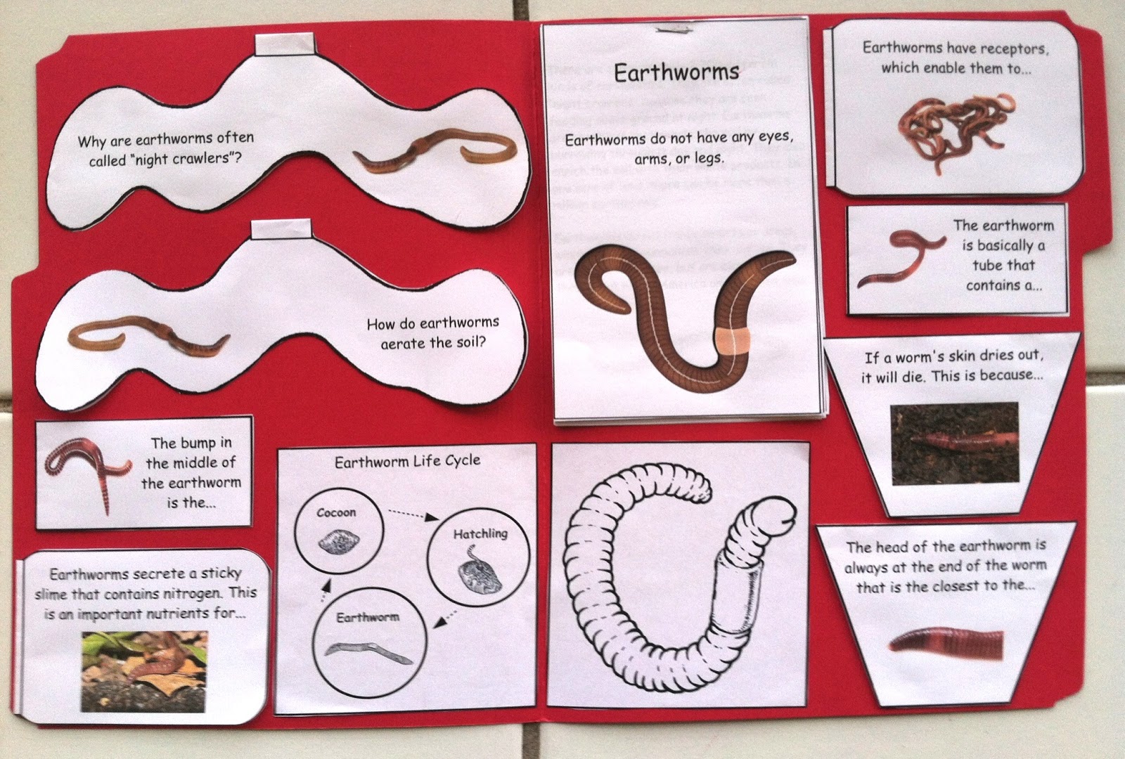 homeschoolbits: Earthworms - Speedy Lapbook
