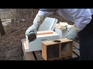 Runaway Crafting: Runaway Honey and Beekeeping