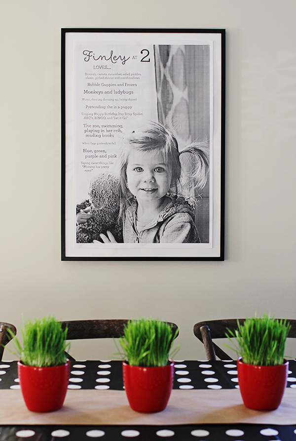 Lovely June Design Co.: finley's second birthday: a ladybug garden party!