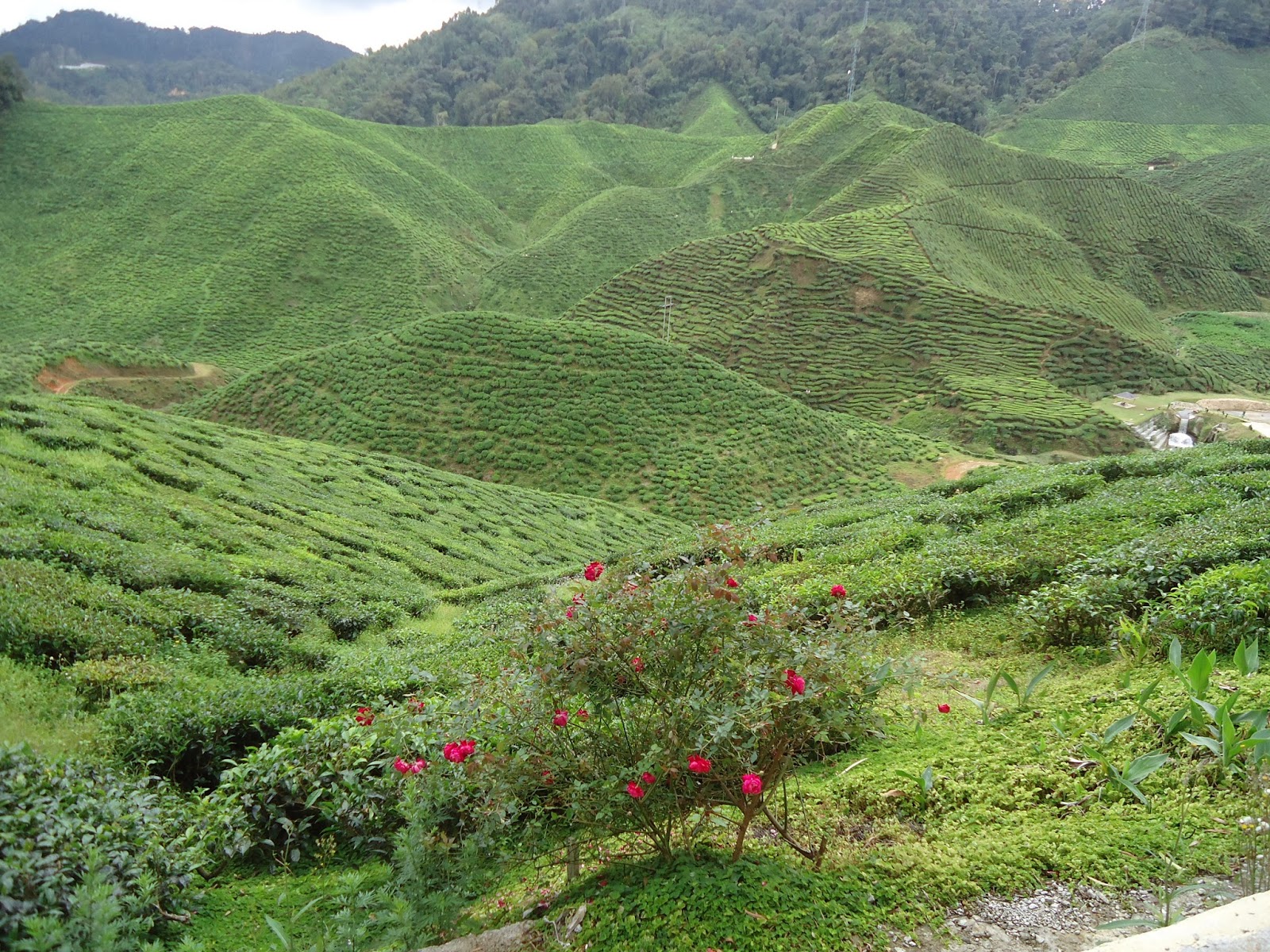 PENDIDIKAN ISLAM TAHUN 6: REHLAH: galeri gambar