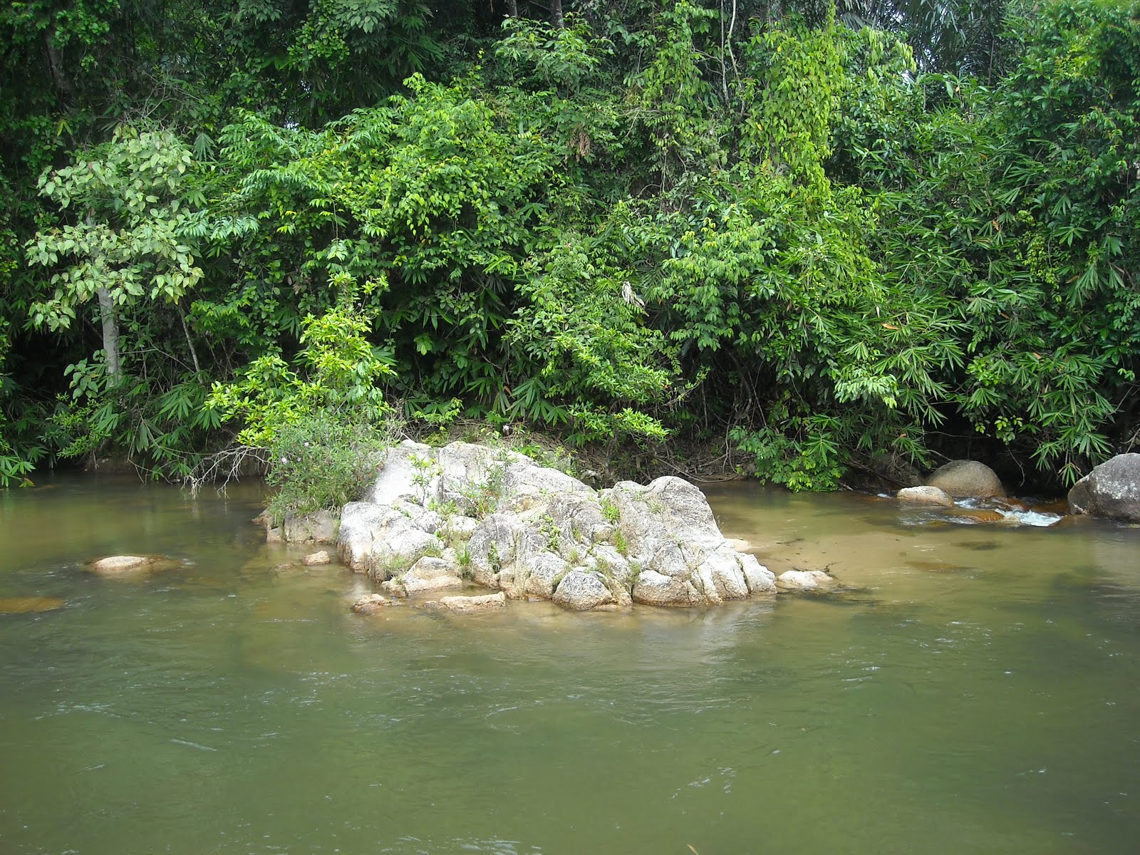 Nota Cikgu Shikin: Pulau Chekas, Raub, Pahang