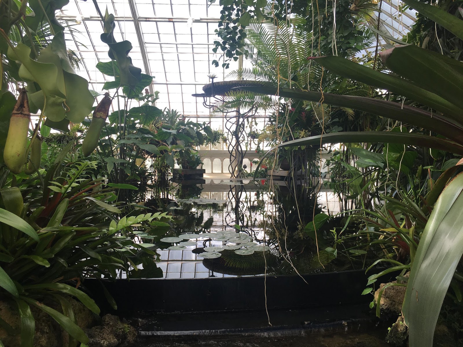 Conservatory of Flowers & Japan Town - Anny To