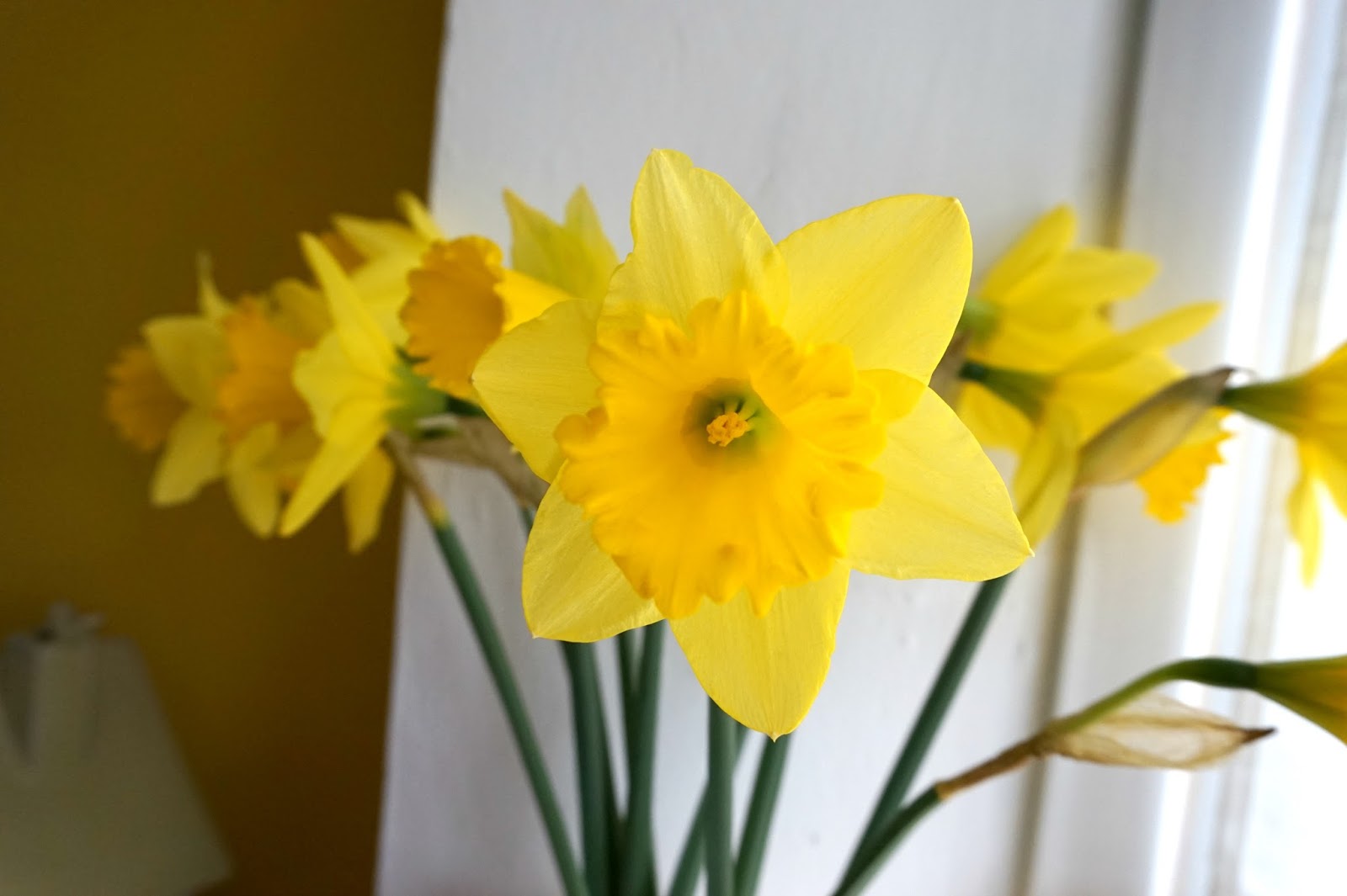 Looking ahead to Spring | To Become Mum