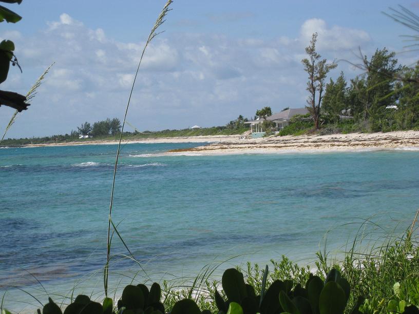 Green Turtle Cay, Bahamas: Green Turtle Cay, Abaco Bahamas