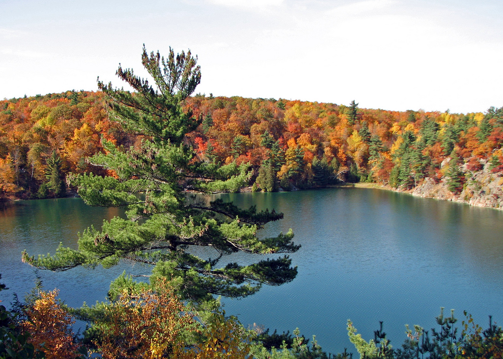 Things To Do with the Kids in Ottawa: Family Fall Activities in Ottawa