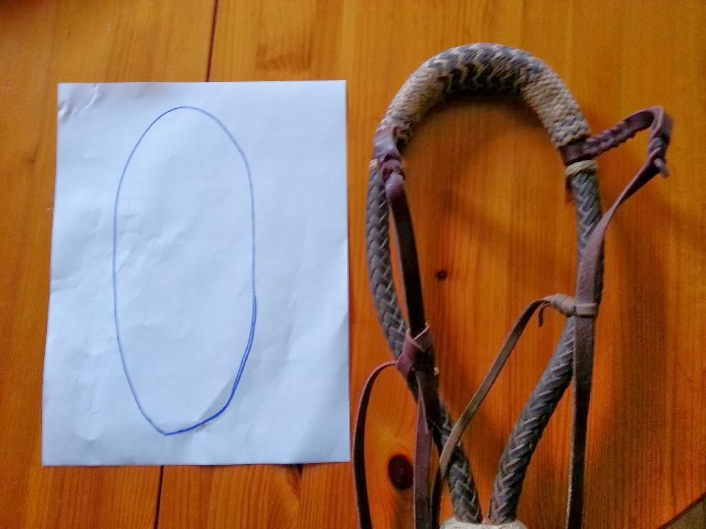 Mustang Adventures: Shaping the bosal