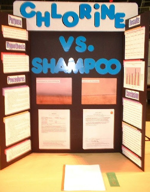 Free Science Fair Projects Experiments: Science Fair Projects Display ...