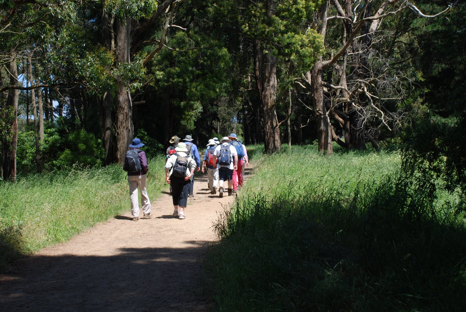 walkabouters club of victoria inc: Walking Events of 2010