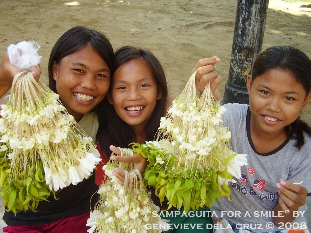 Living with Nature - School on Blog by Dr. Abercio V. Rotor: Philippine ...
